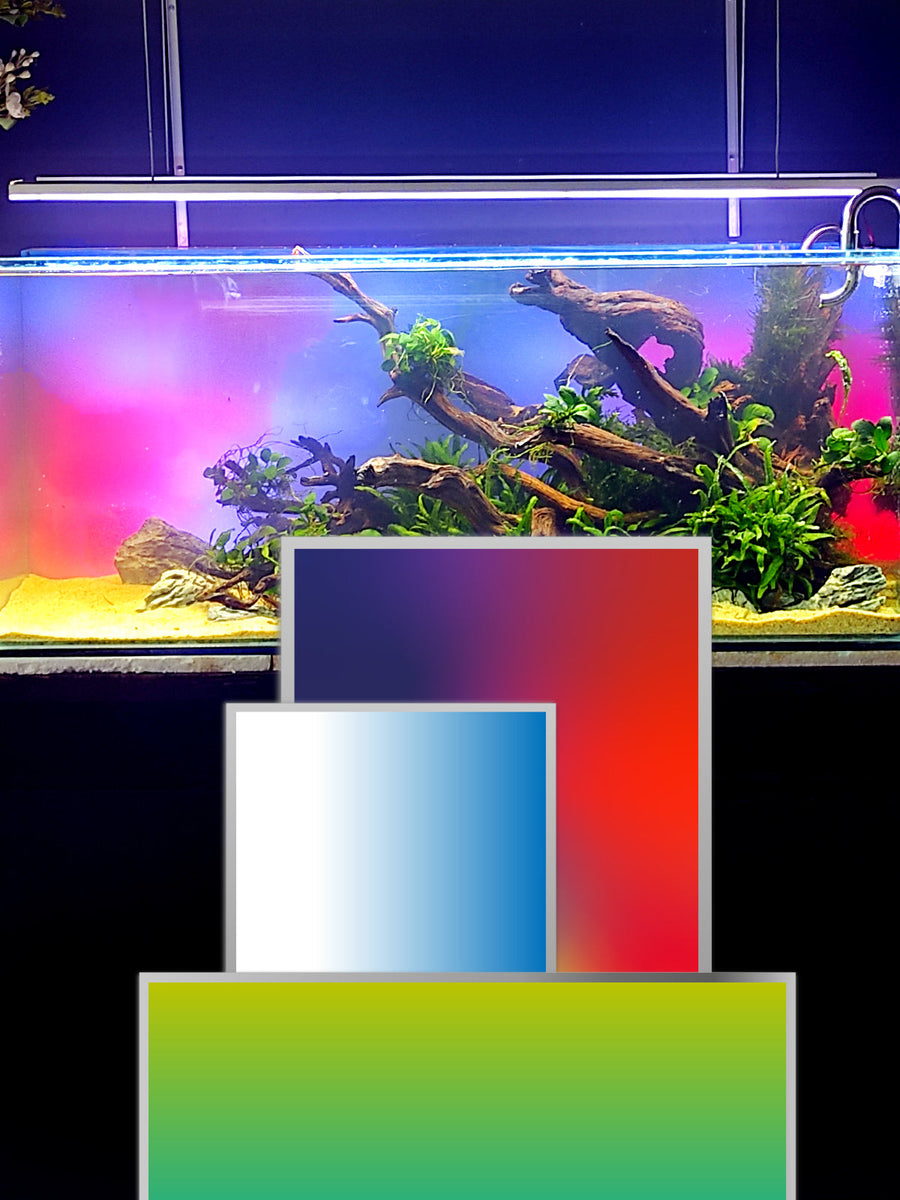 Glow Light – LumaLight Studio