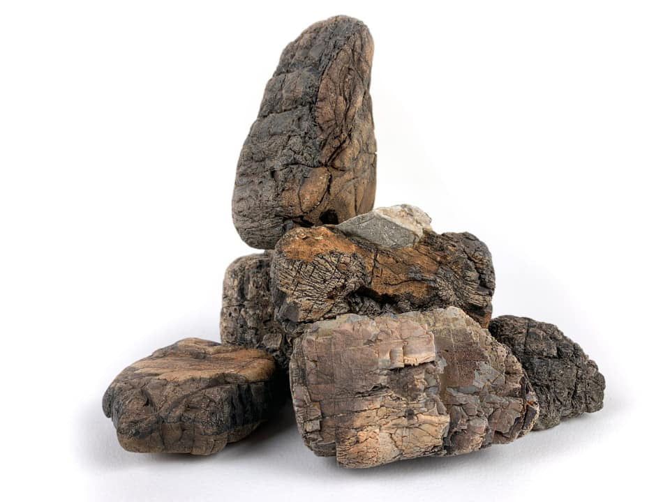 Raptor Stone "Roca Natural" – LumaLight Studio