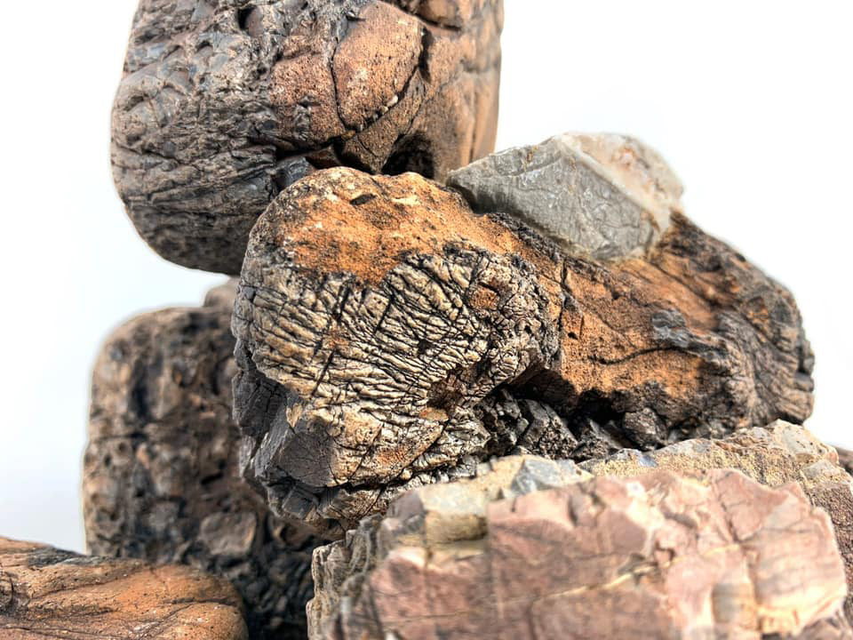 Raptor Stone "Roca Natural" – LumaLight Studio
