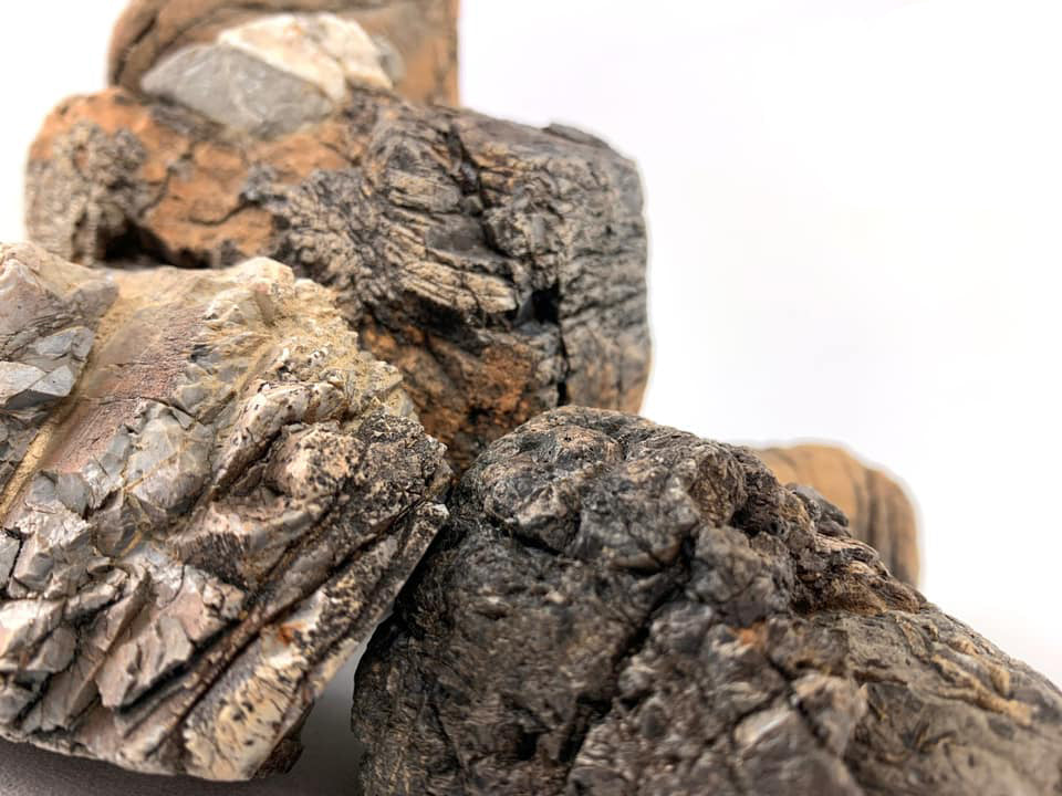 Raptor Stone "Roca Natural" – LumaLight Studio